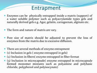 Immobilization of enzymes | PPTX