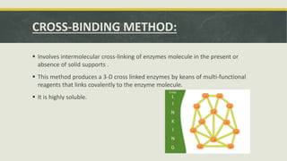 Immobilization of enzymes | PPT