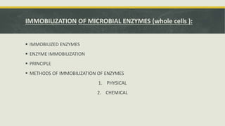 Immobilization of enzymes | PPT