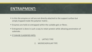 Immobilization of enzymes | PPT