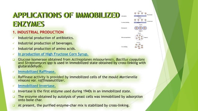 Immobilization of enzymes | PPTX