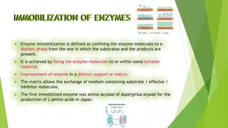 Immobilization of enzymes | PPTX