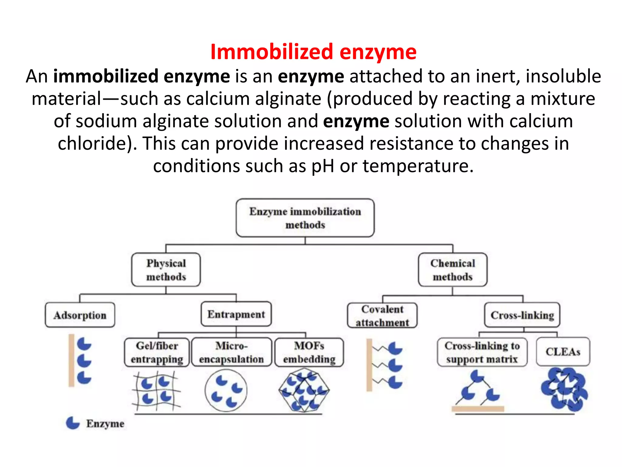 Immobilization of enzymes | PDF