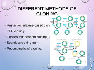 Immobilization Tech- Durgashree Diwakar | PPT