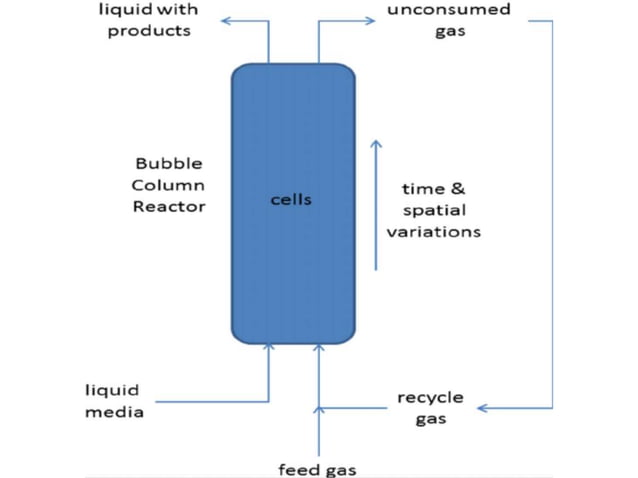 Immobilized cell reactor experiment experimental reactor system | PPTX ...