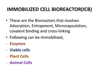 Immobilized cell reactor experiment experimental reactor system | PPTX
