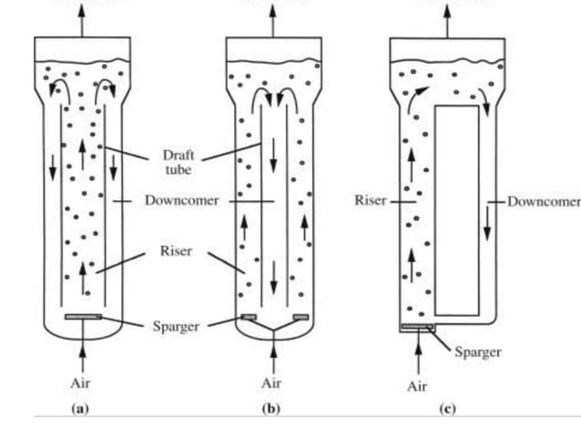Immobilized cell reactor experiment experimental reactor system | PPTX ...