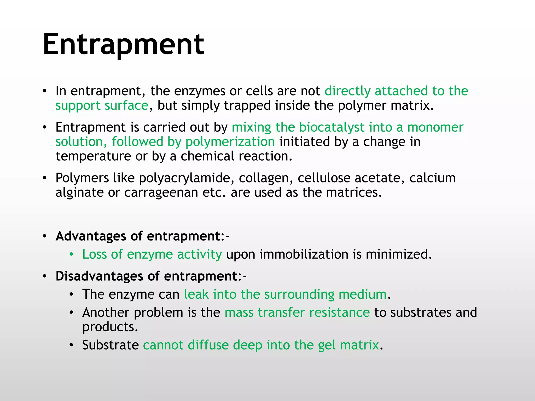 Immobilized enzyme | PDF