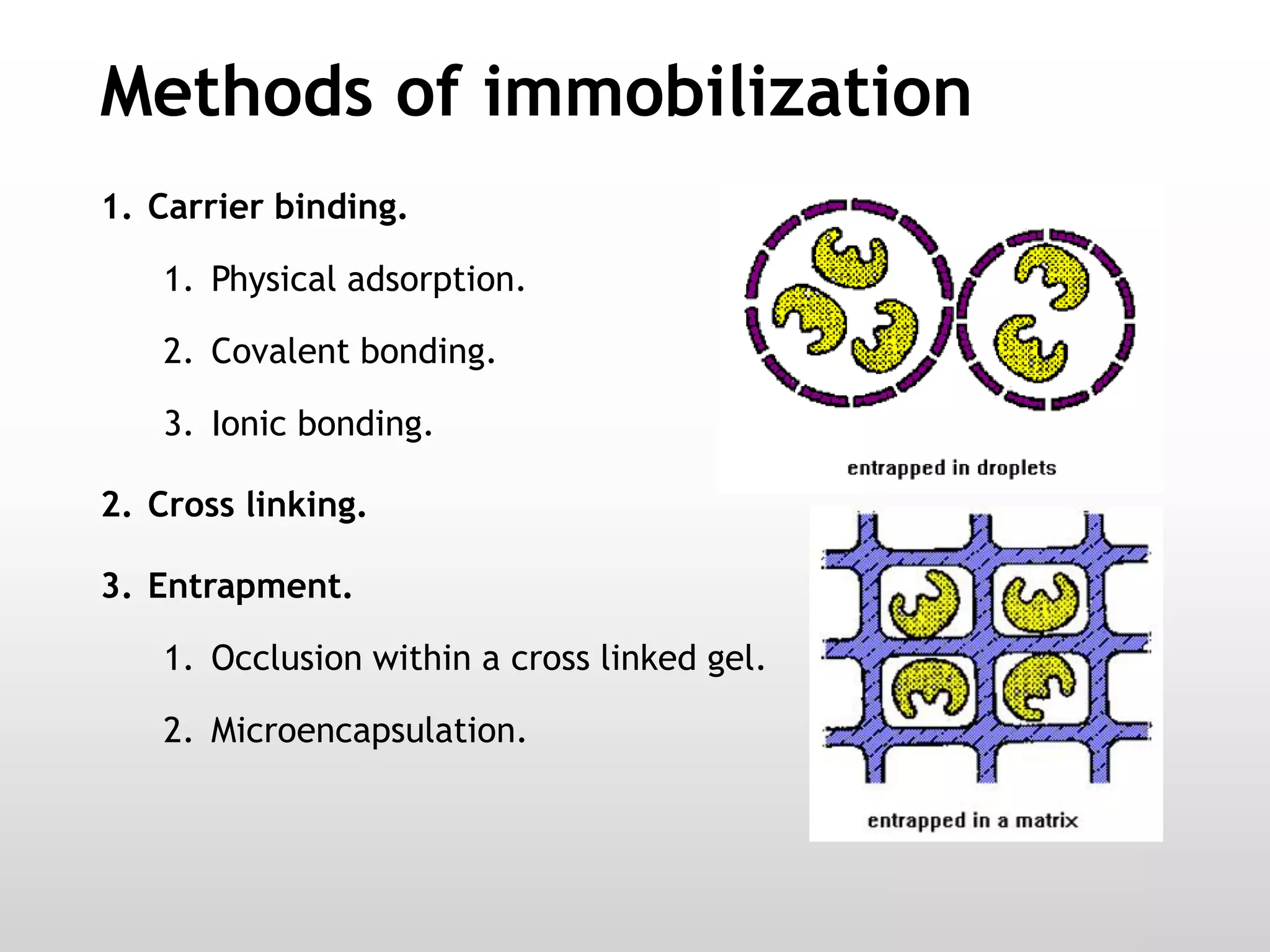 Immobilized enzyme | PDF