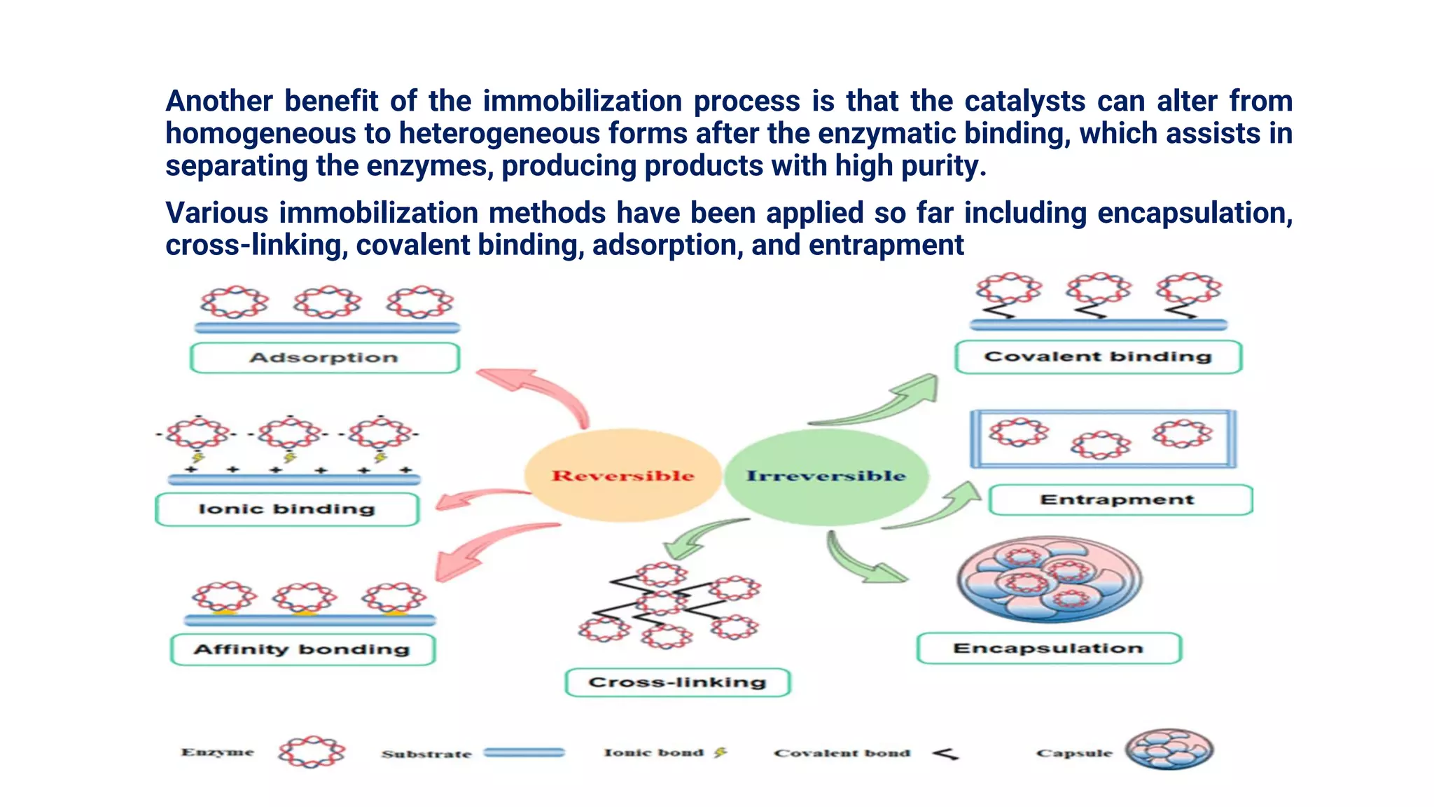 immobilized enzyme.pdf