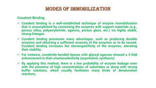 immobilized enzyme.pdf