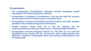 immobilized enzyme.pdf