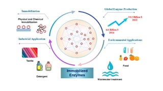 immobilized enzyme.pdf