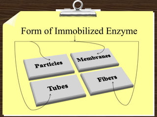 IMMOBILIZED ENZYMES AND ITS APPLICATION.ppt