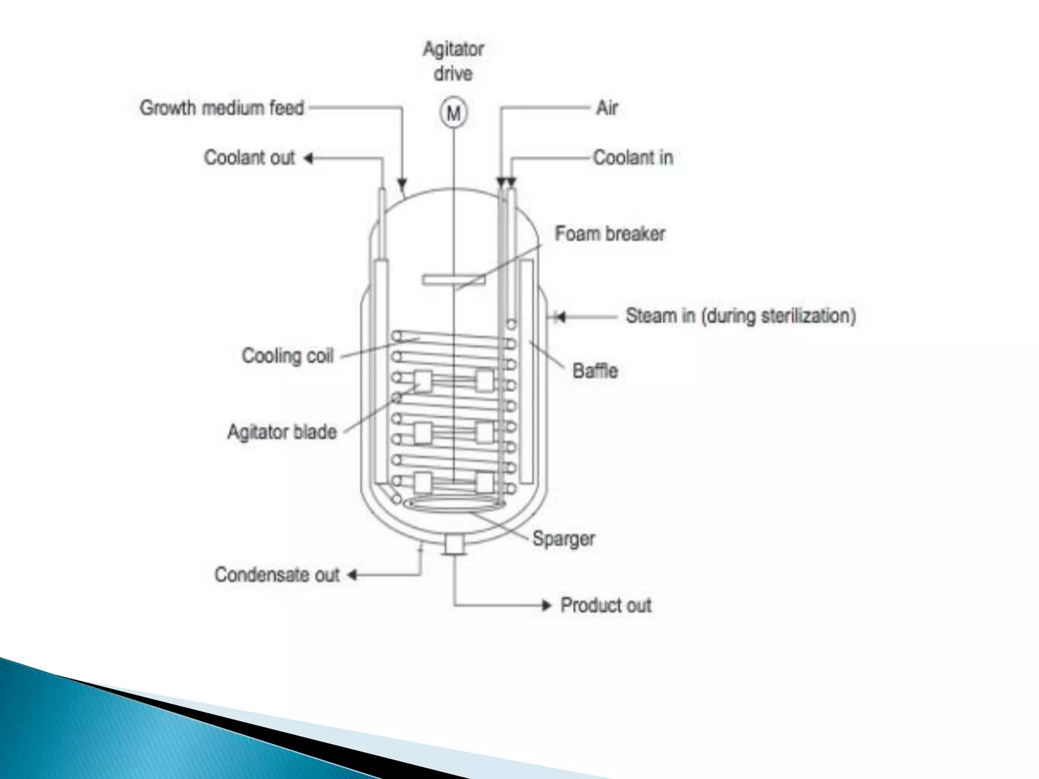 Immobilized enzymes reactors | PPTX
