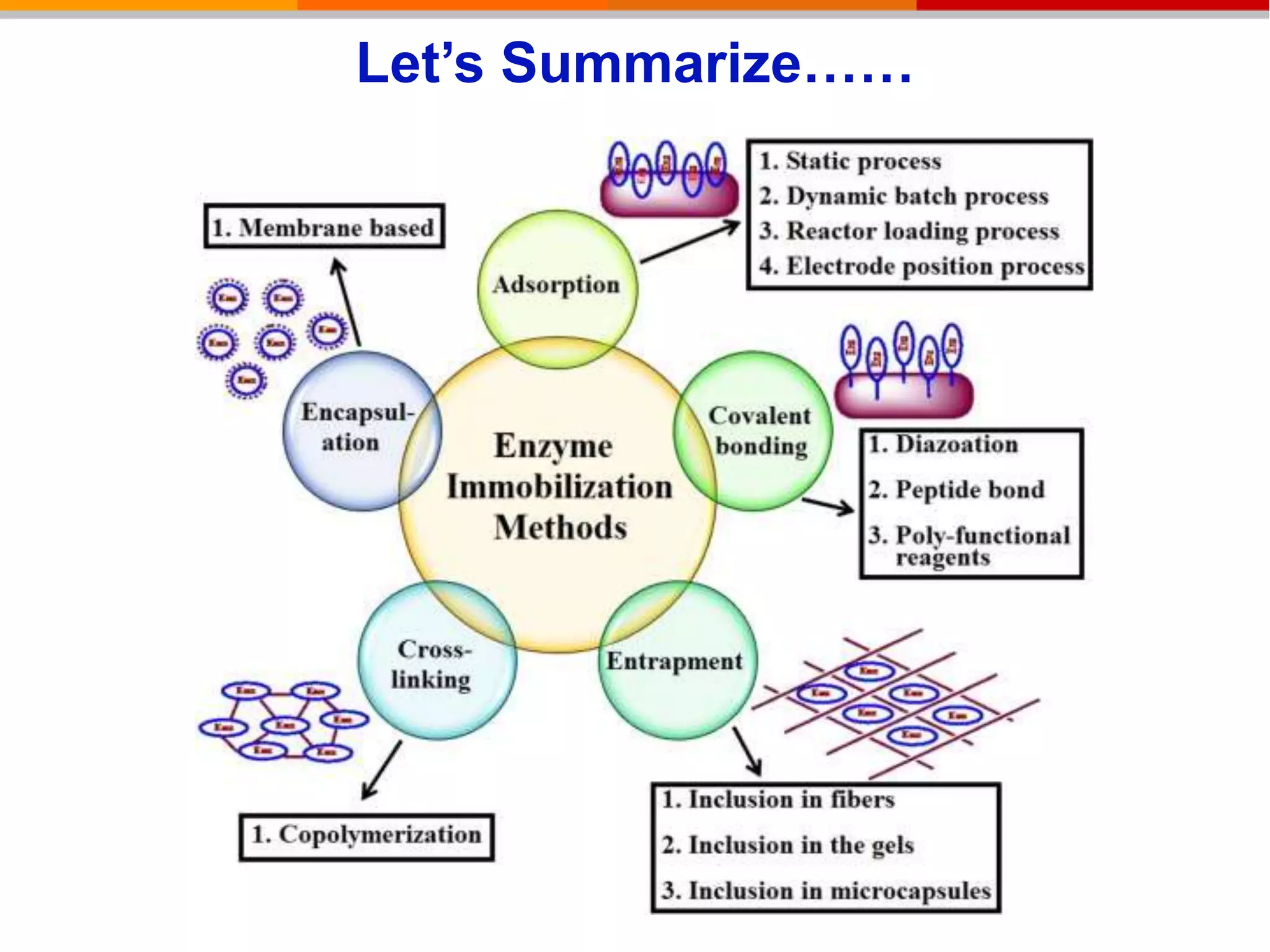 Enzyme immobilization | PPTX