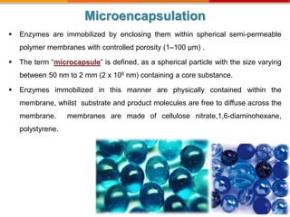 Enzyme immobilization | PPT