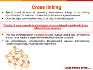 Enzyme immobilization | PPT