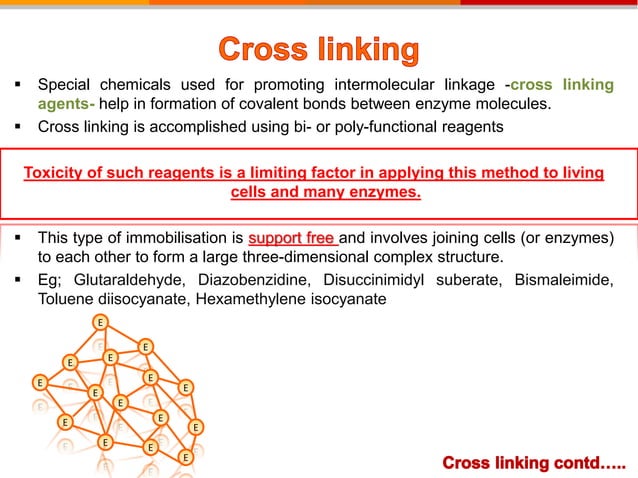Enzyme immobilization