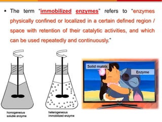 Enzyme immobilization | PPT