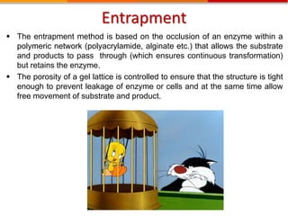 Enzyme immobilization | PPT