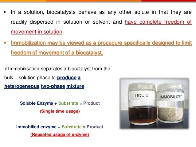 Enzyme immobilization