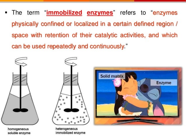 Enzyme immobilization