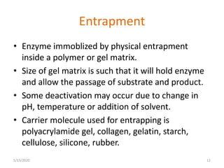 Immoblization of enzymes | PPT