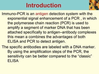 immuno pcr | PPT