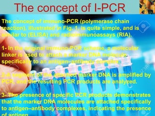 immuno pcr , immuno;ogy,, ELISA | PPT