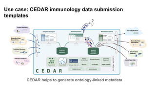 Standardization of the HIPC Data Templates: The Story So Far | PPT