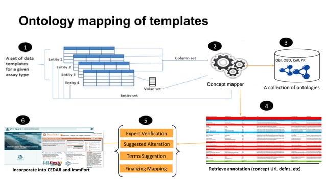 Standardization of the HIPC Data Templates: The Story So Far | PPT