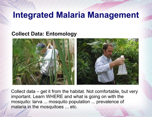 Imm presentation 002 091010 | PPT