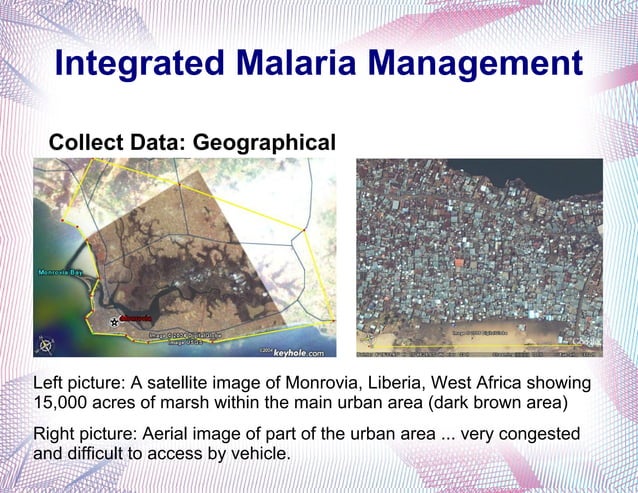 Imm presentation 002 091010 | PPT