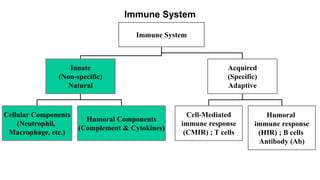 immun.pptx