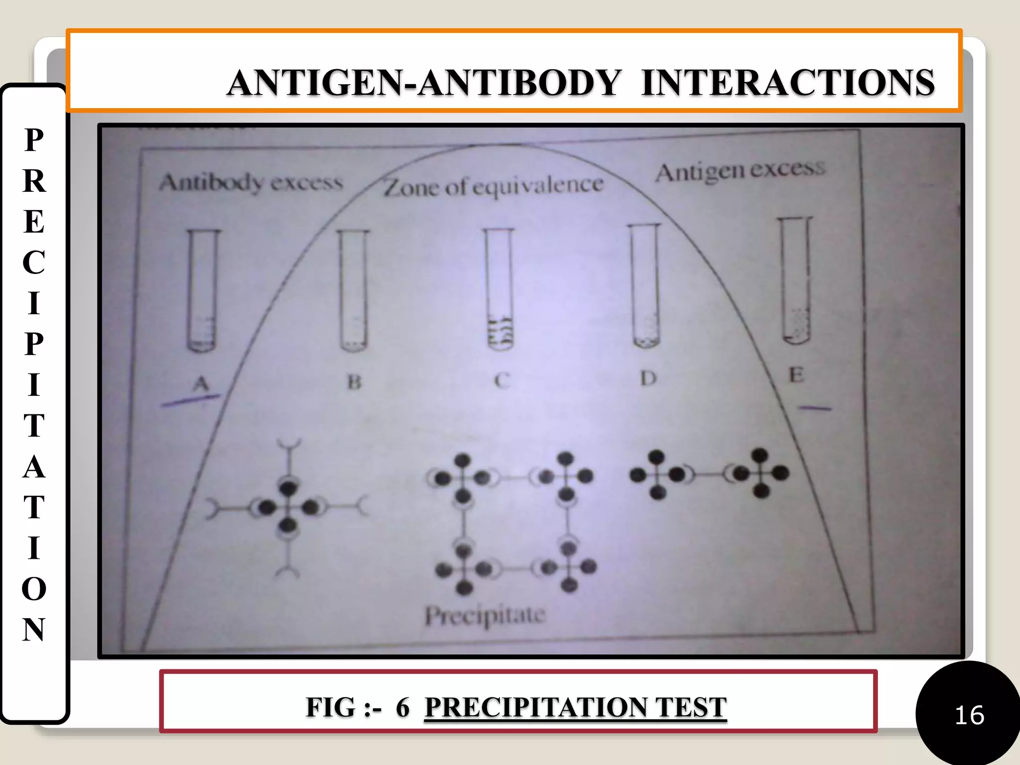 antigen antibody interaction | PPTX