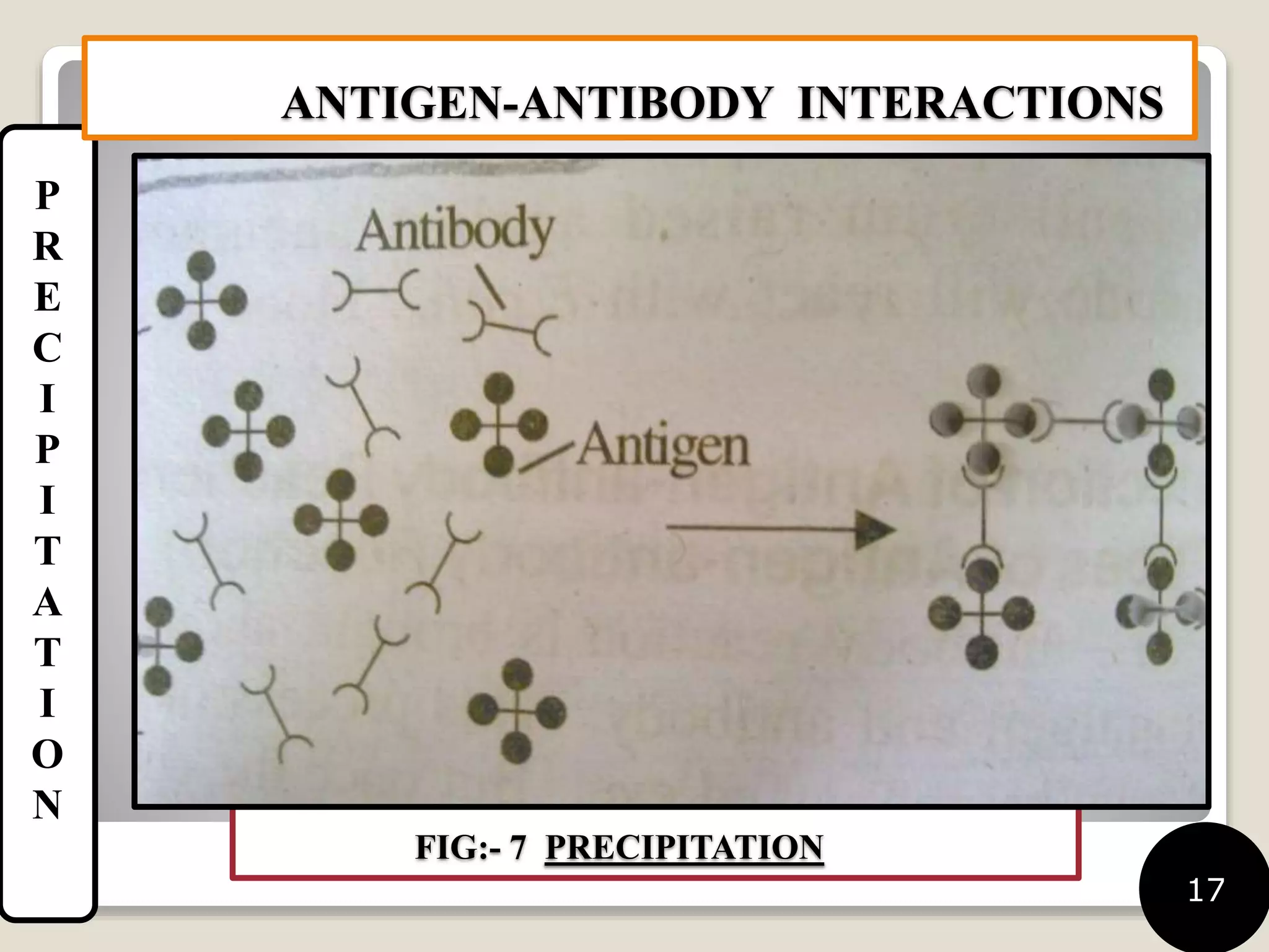 antigen antibody interaction | PPTX