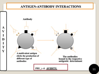 antigen antibody interaction | PPTX