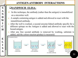 Antigen Antibody Reaction Elisa