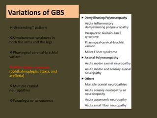Immune mediated neuropathies | PPT