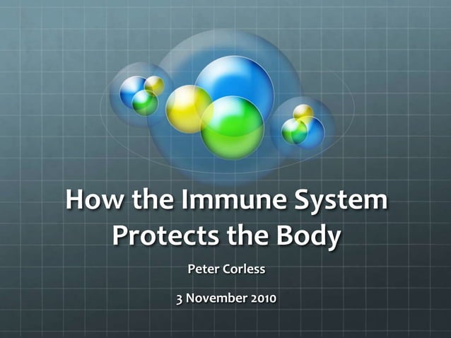 How the Immune System Protects Your Body | PPTX | Infectious Diseases ...