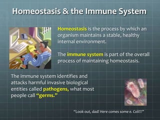 How the Immune System Protects Your Body | PPTX