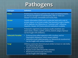 How the Immune System Protects Your Body | PPTX | Infectious Diseases ...