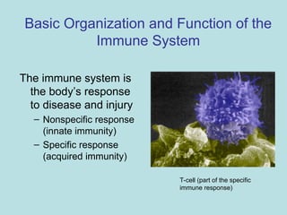 IMMUNE-SYSTEM Anatomy and Physiology.ppt