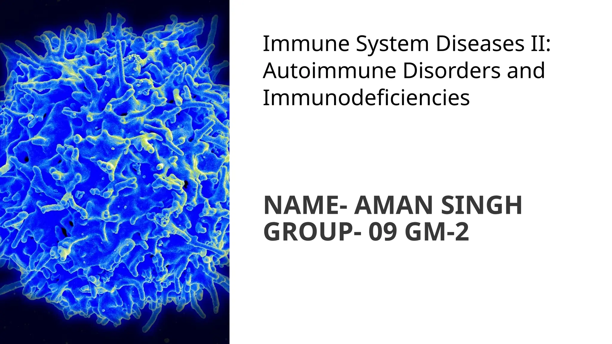 Immune-System-Diseases-II-Autoimmune-Disorders-and-Immunodeficiencies.pptx