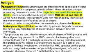 Immune-System- Histology (4).pptx