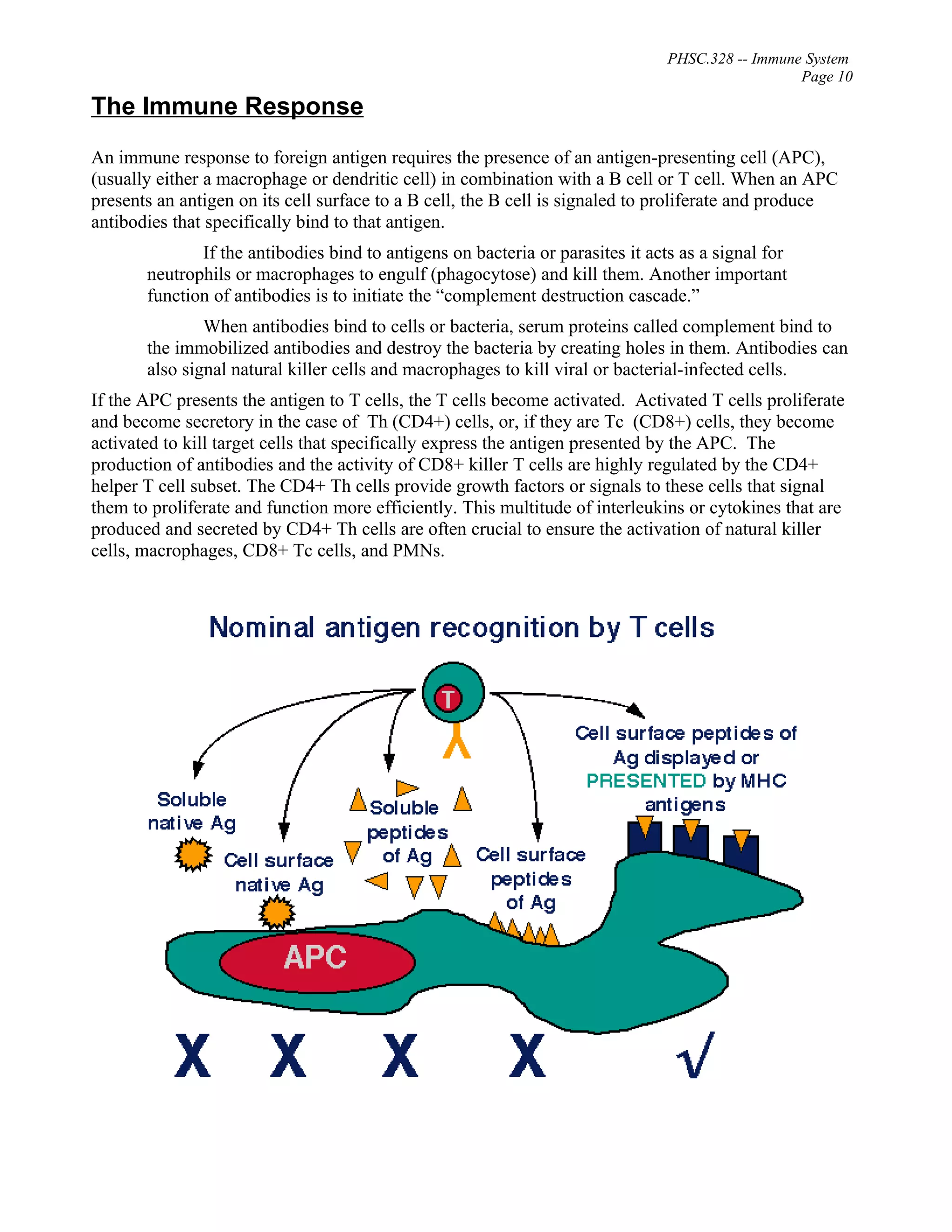 Immune system-overviewdoc3188-1 | DOC