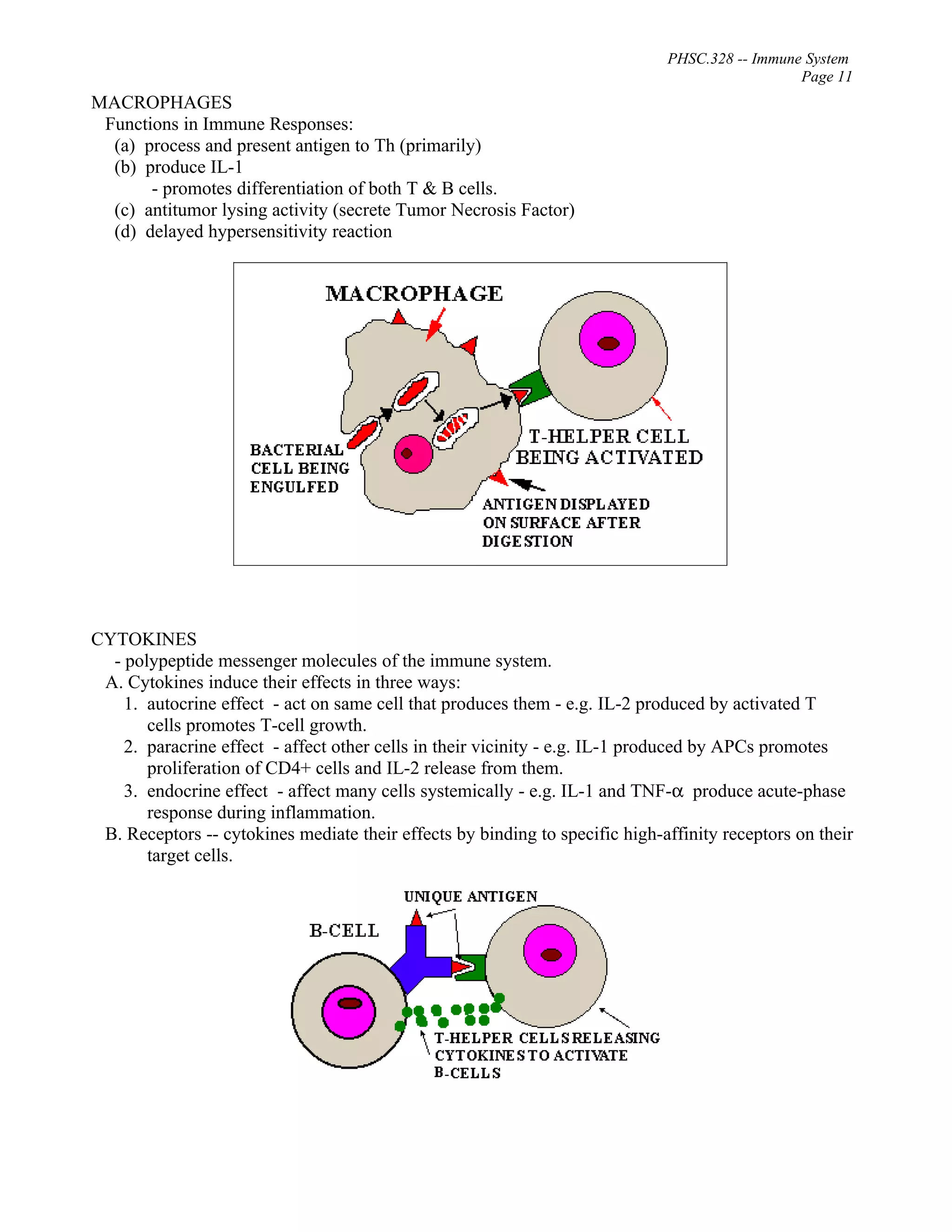 Immune system-overviewdoc3188-1 | DOC