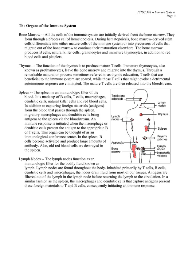 Immune system-overviewdoc3188-1 | DOC