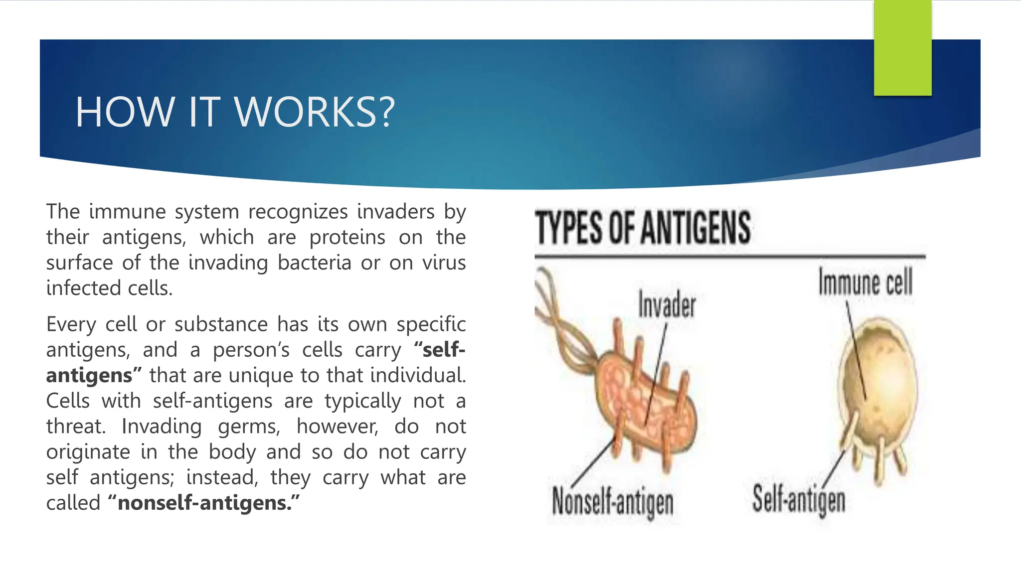 STEM 12 Biology 2: Plant and Animal Immune System | PPTX